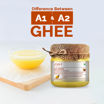 Understanding A1 vs A2 Cow Ghee: Key Differences & Health Benefits Explained – JivaAyurveda